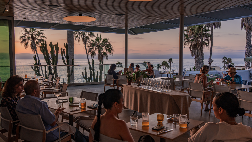 AVOCADO - The Kitchen at MCASD