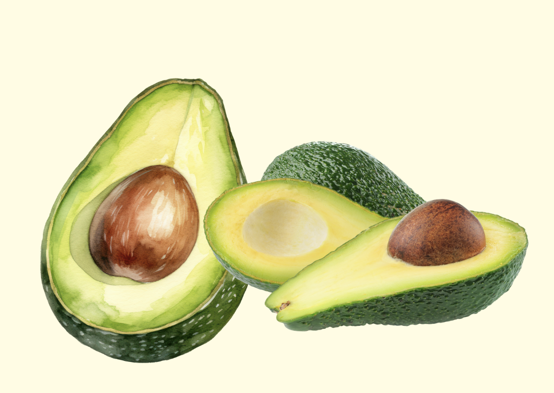 The Study of Avocado - Urban Kitchen Group